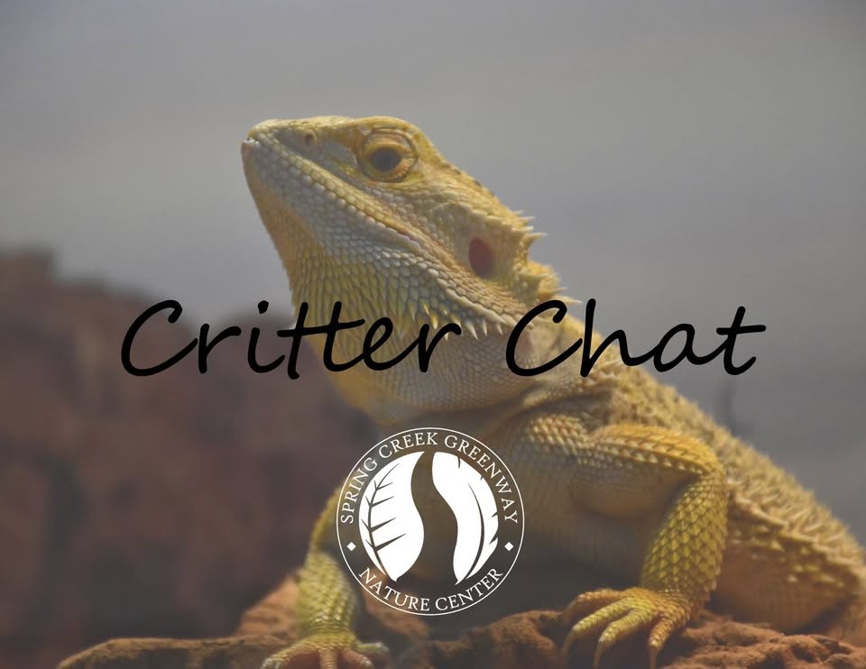 Critter Chat at Spring Creek Nature Center | North Houston