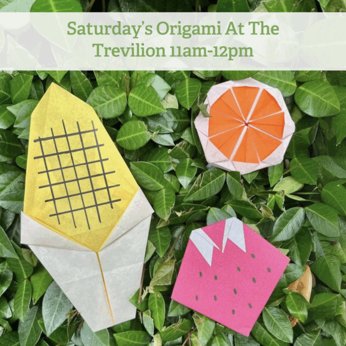 Origami with JASH | West Houston / Cypress