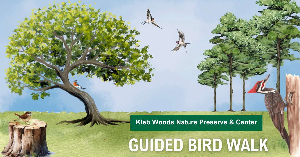 Weekly Bird Walk