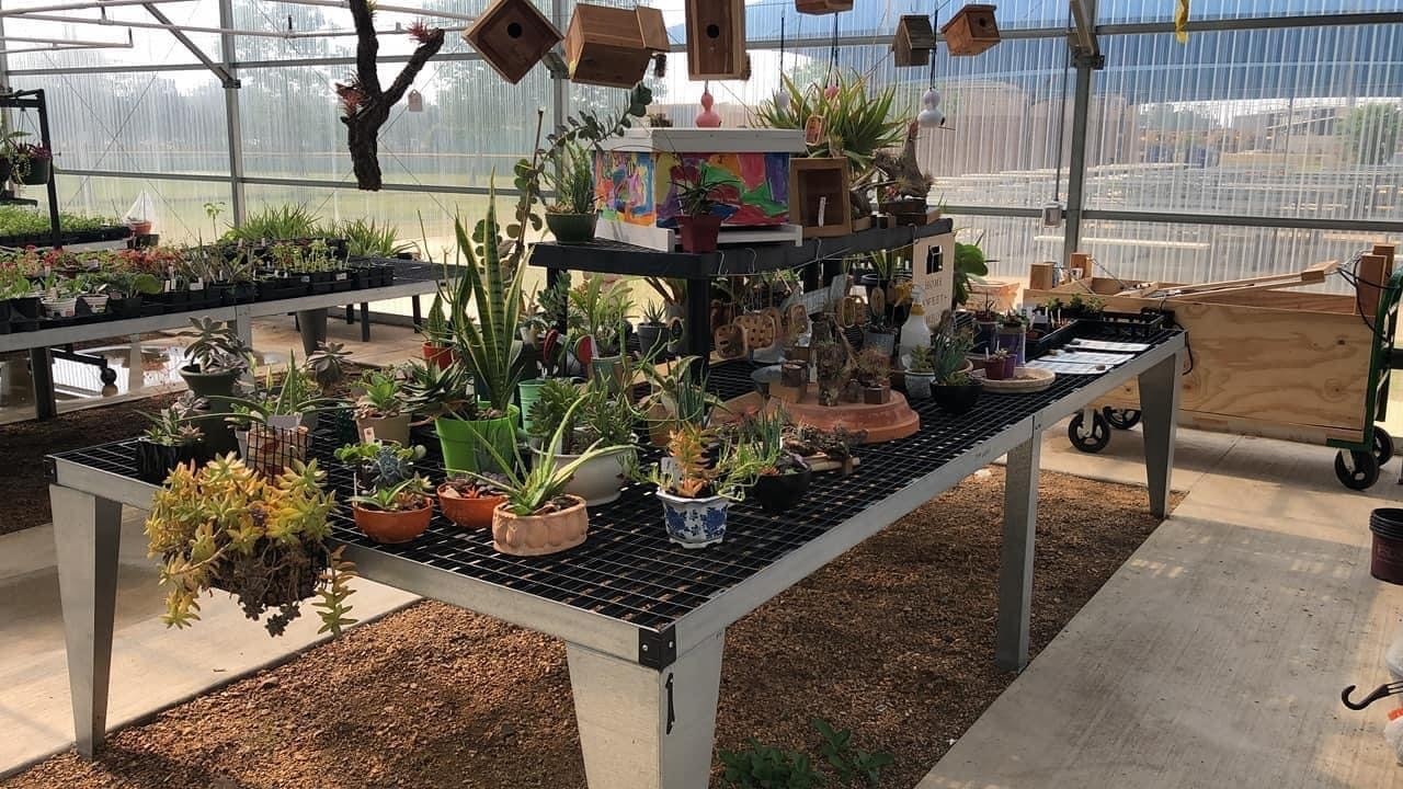 Succulents With a Purpose at Reach Unlimited Greenhouse